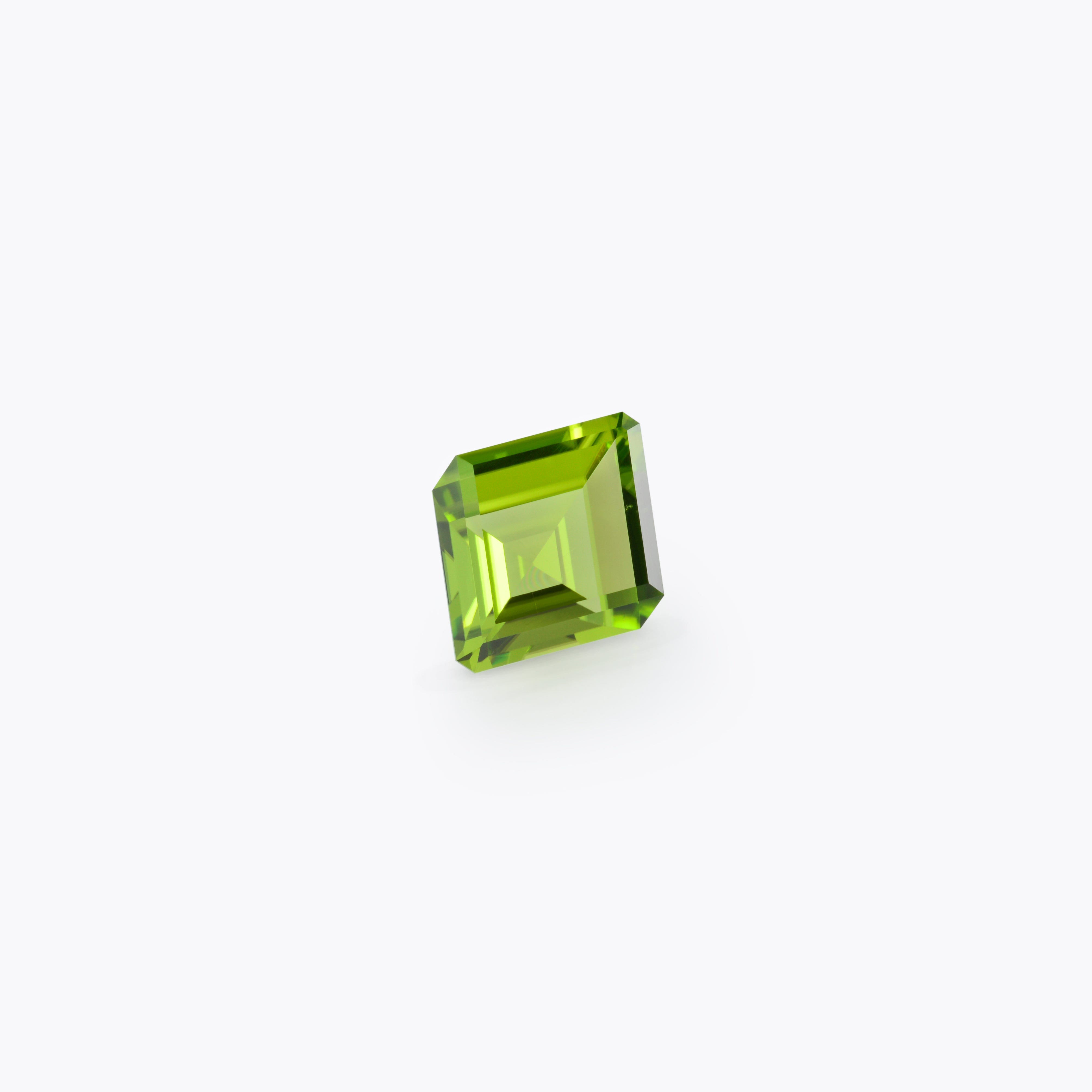 Peridot #1013116 – Nomad's Co (Public)