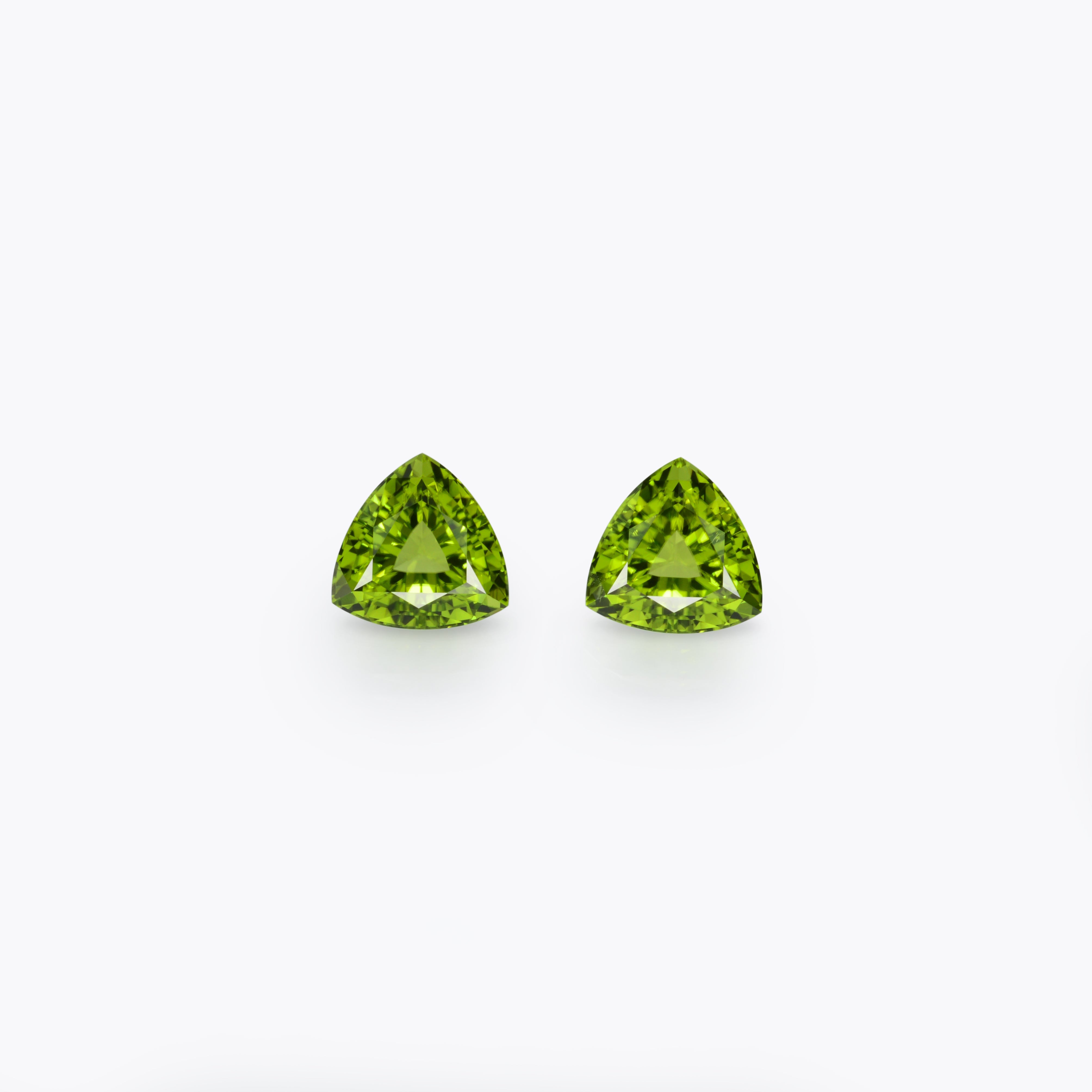 Peridot #1014061 – Nomad's Co (Public)