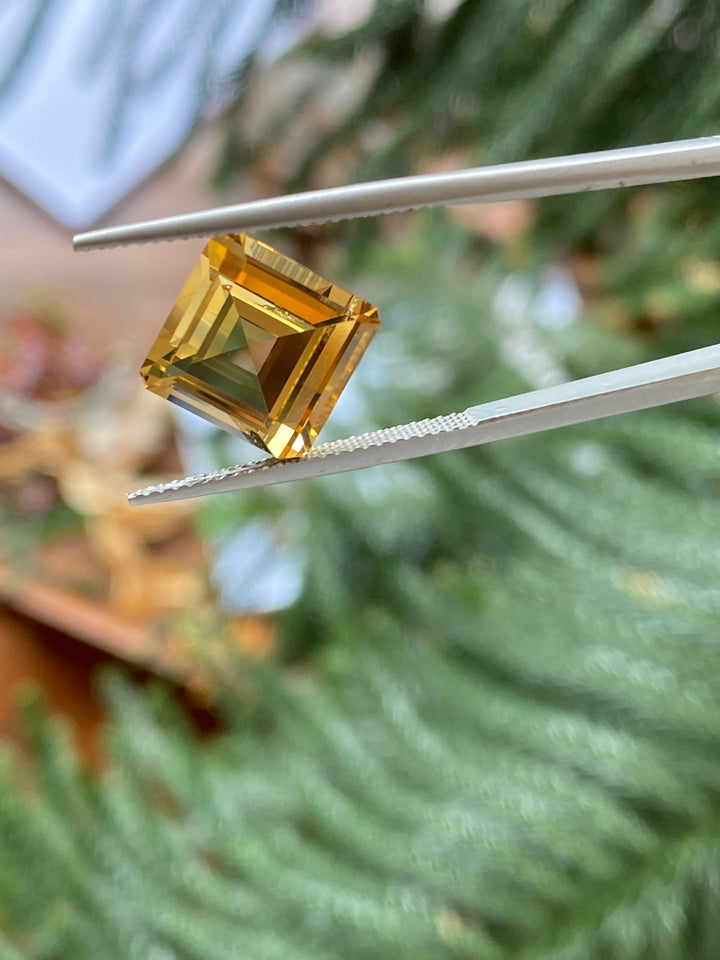 Imperial Topaz #613038 – Nomad's Co (Public) Imperial Topaz #613038 – Nomad's Co (Public)